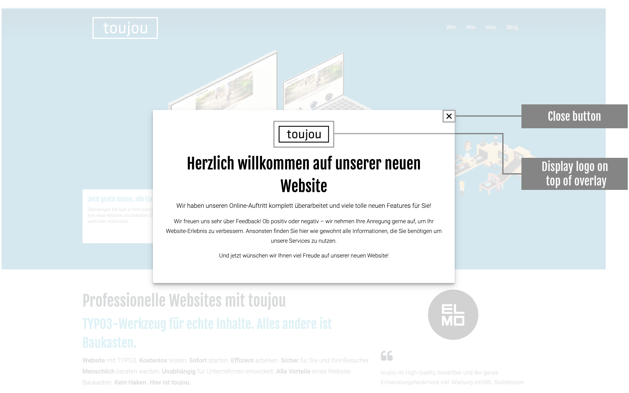 Website Overlay
